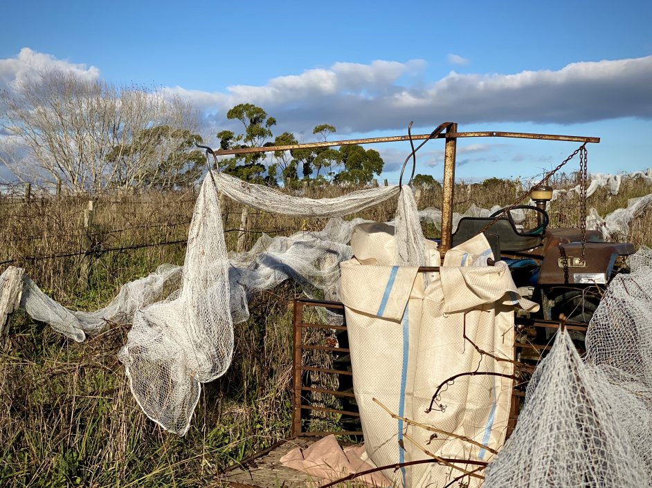 Daywen Vineyard – Growers of Organic Black & White Grapes – We Courier ...